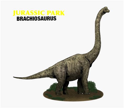 Jurassic Park Sauropods