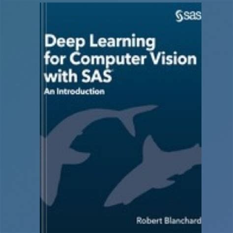 Jual Buku Deep Learning For Computer Vision With Sas An Introduction Soft Cover Shopee