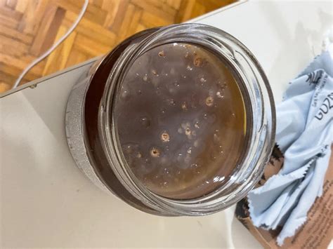 My Scoby Has Dry Holes Is This Normal Or Should I Get Rid Of It R Kombucha