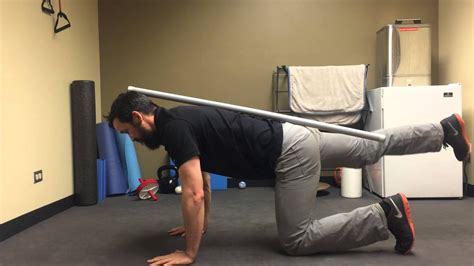 Quadruped Exercise Progression
