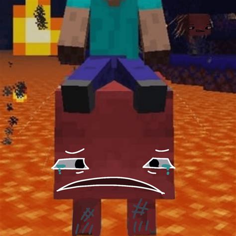 Steve Is Carrying 10 Stacks Of Cobblestone Poor Strider R Phoenixsc