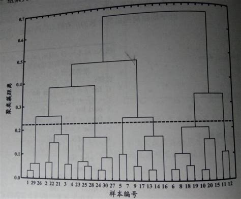 Agnesagnes算法 Csdn博客