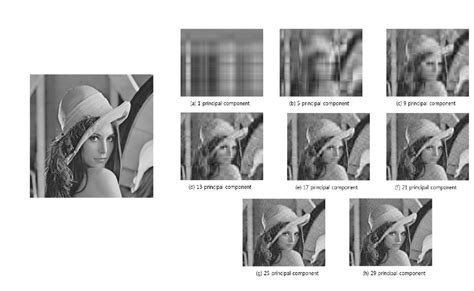 Pattern Recognition Via Principal Components Analysis Sqlservercentral