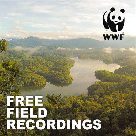 Field Recording Library Raising 3677 To Wwf Denmark Luftrum Sound