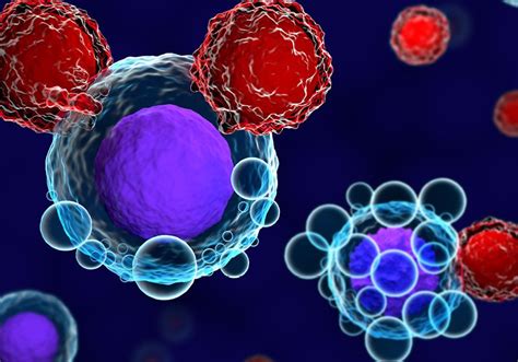 Enhanced Reliability In Car T Cell Production The Scientist Magazine®