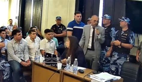 Tomei Planteó Que Se Consideren Las Figuras De Homicidio Simple Con