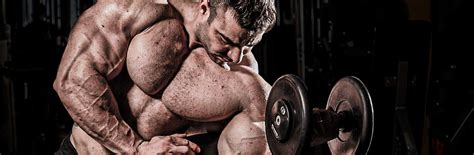 Como Perder Gordura Sem Perder Massa Muscular 2022