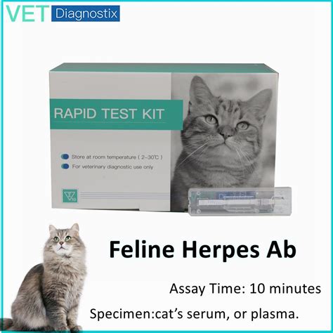 Can You Test For Canine Herpes