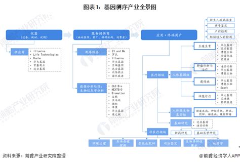 2020年中国基因测序行业市场现状及竞争格局分析 市场规模有望突破百亿业界新闻中国仪器仪表学会分析仪器分会