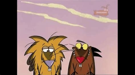 Angry Beavers