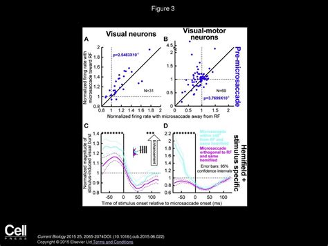 neuronal response gain enhancement prior to microsaccades ppt download