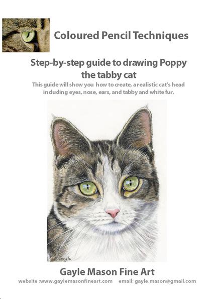 FUR IN THE PAINT Step By Step Guide To Drawing A Tabby Cat Available Now