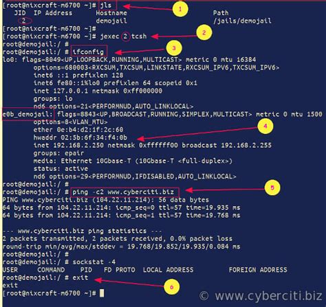 how to set up freebsd 12 vnet jail with zfs nixcraft