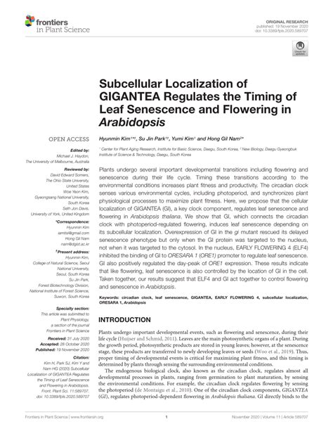 Pdf Subcellular Localization Of Gigantea Regulates The Timing Of Leaf Senescence And Flowering