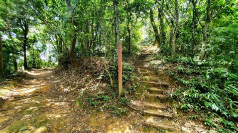 溪洲山新溪洲山頭寮山總督府古道大艽芎古道頭寮大池 健行筆記