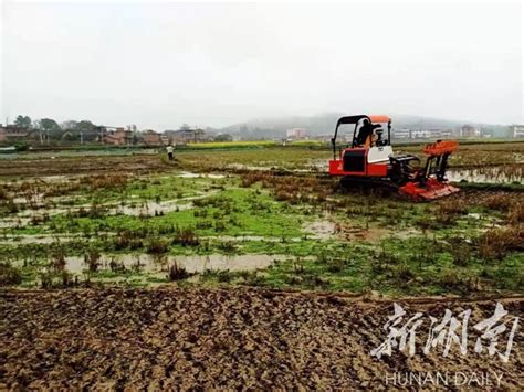 乡镇冷水滩区杨村甸乡春耕正当时 翻耕土地抢时节 乡镇单位 新湖南