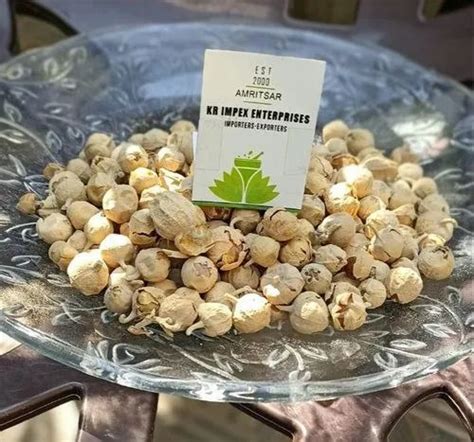 Citrullus Colocynthis Paneer Dodi Paneer Ke Phool Withania Coagulan