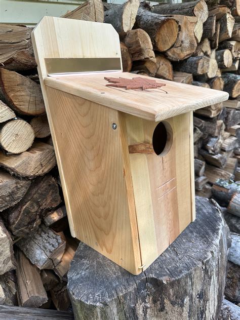 Screech Owl House Made To Order Crafted To Audubon And Cornell