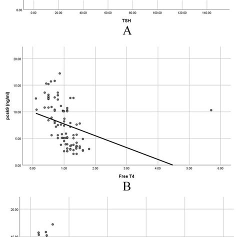 Scatter Plot Graph Demonstrates The Positive Correlation Between