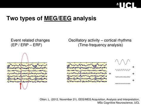 Ppt Eeg Meg Experimental Design And Preprocessing Powerpoint