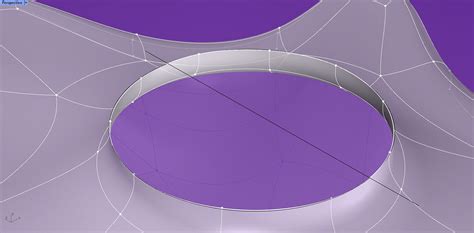 Match SubD Edge To Curve Or NURBS Edge SubD McNeel Forum
