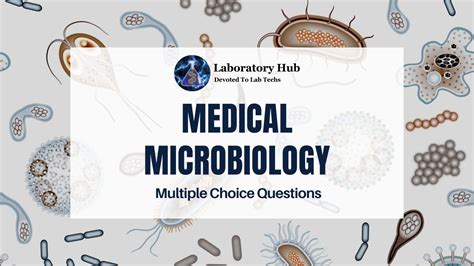 Medical Microbiology Multiple Choice Questions Laboratory Hub