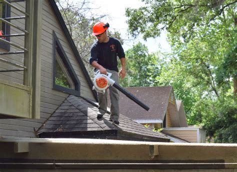 Emergency Storm Damaged Tree Limb Removal