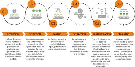 Proceso De Fabricación De Los Zumos Industriales Asozumos