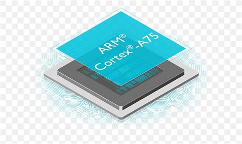 ARM Cortex A ARM Architecture Mali ARM Cortex A PNG X Px Nanometer Arm