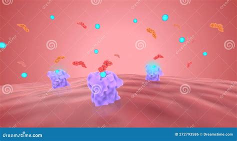 Beta Blockers Inhibit Beta Receptors Stock Illustration Illustration