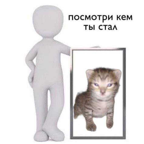 голые котята 2024 ВКонтакте