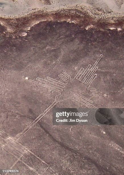 Nazca Hummingbird Photos And Premium High Res Pictures Getty Images