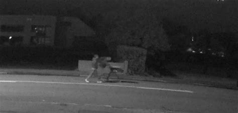 Powerline Tampering Incidents Caught On Camera Star News