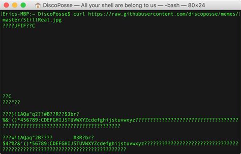 Downloading Files With Curl Including Text And Binary Objects