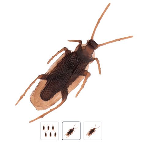 6 Cafard Factices Réaliste Au Fou Rire Paris 9