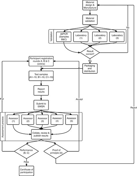 Workflow Of The Eqa Scheme Process Download Scientific Diagram