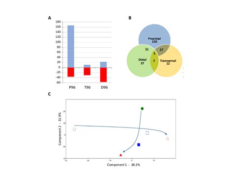 Analysis Of The Metabolomic Data Obtained For Each Reactor At The 2