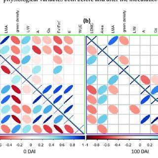 Bivariate Correlation Matrix Between Structural And Physiological Download Scientific Diagram