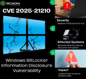 CVE Windows BitLocker Information Disclosure Vulnerability SECNORA