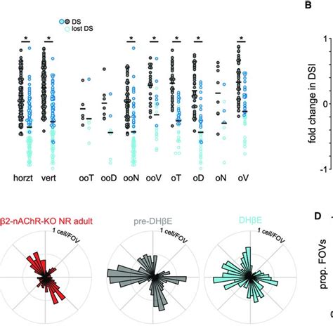 The Direction Selectivity Map Develops Independent Of Visual Experience Download Scientific