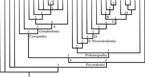 Strict Consensus Tree Of Most Parsimonious Trees Tree Length429