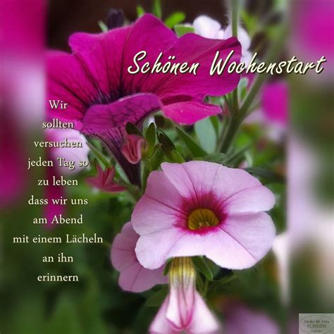 Guten Wochenstart Bilder Guten Wochenstart Gb Pics Seite 2