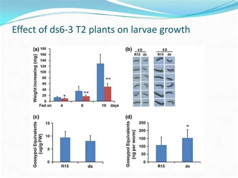 Insect Resistance And Future Of Bt Transgenic Crops Ppt
