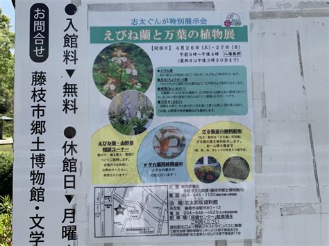 号外net 藤枝市・焼津市・島田市 静岡県藤枝市・焼津市・島田市のニュースサイト