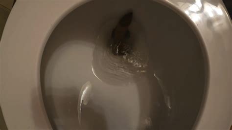 Firm Turd Doesn T Want To Flush ThisVid