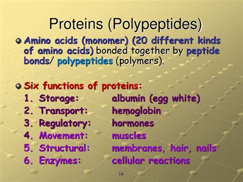 Lecture 7 Macromolecules Ppt Download