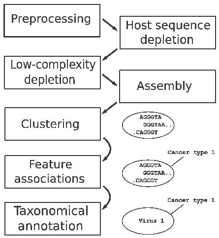 Schematic Representation Of The Bioinformatics Pipeline Used To Process Download Scientific