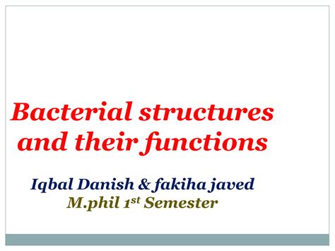Bacterial Structures And Their Functions Pptx