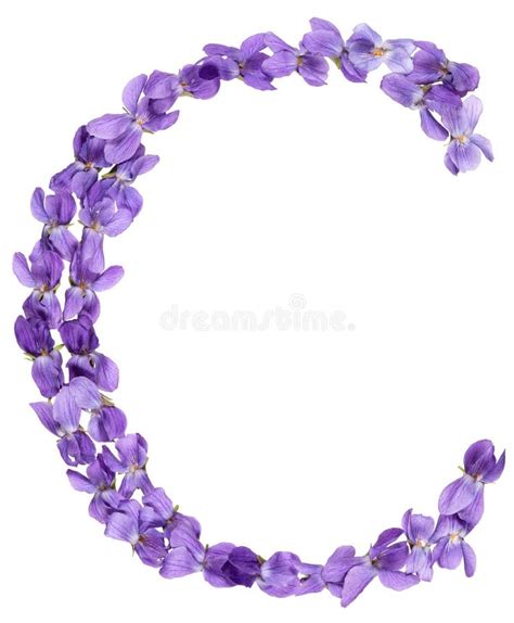 Letra M Del Alfabeto De Las Flores De La Violeta Aisladas En El Fondo
