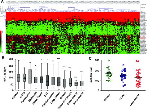 Analysis Of Mir 33a Expression From Geo Datasets A Data From The Geo